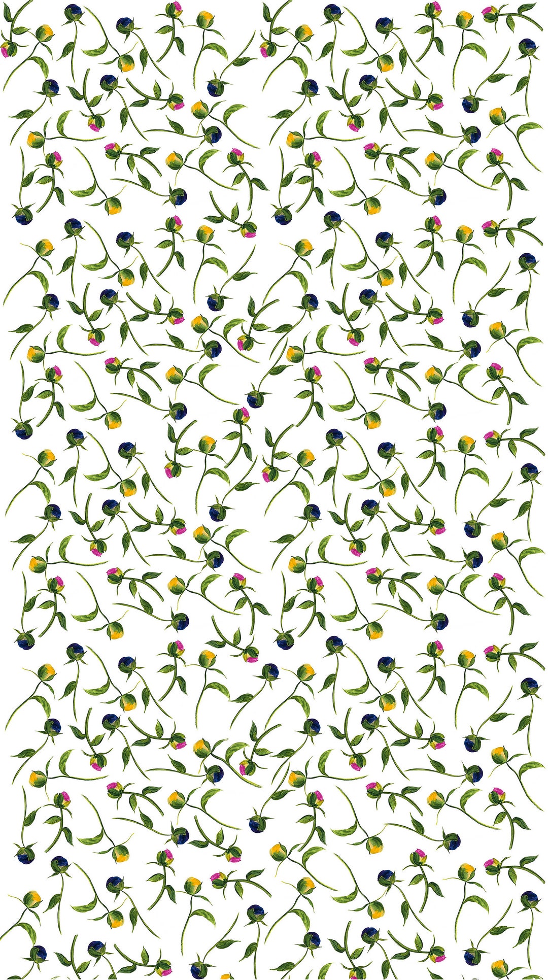 Frond Designs, Hello Gorgeous, 40031-10, Stephanie Brandenburg ...