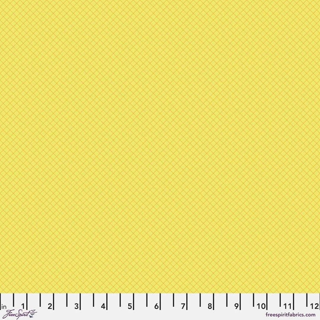 Tula Pink True Colors on the Grid Highlighter PWTP255, Free Spirit ...