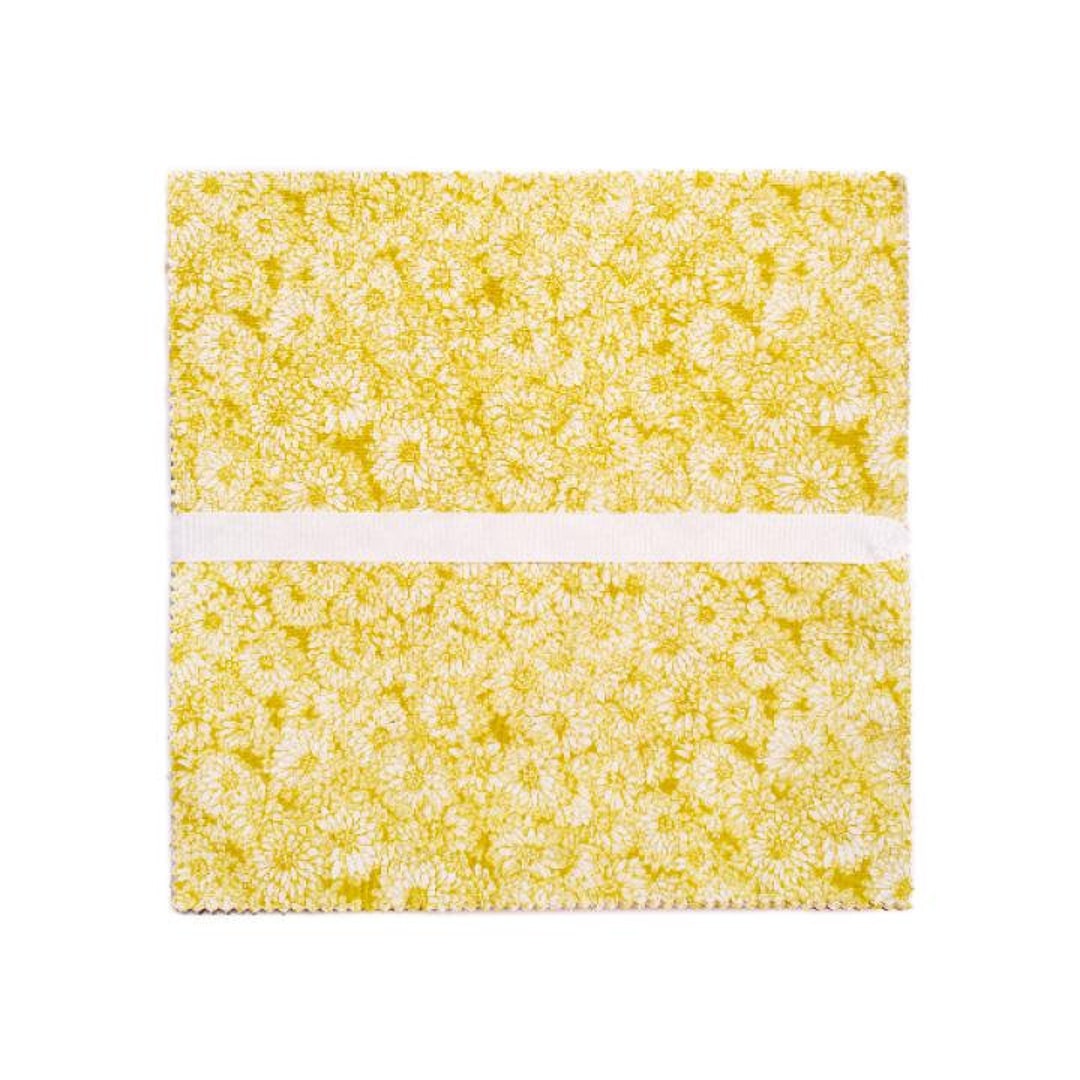 PRE-ORDER, Anna Maria Textiles (horner) Indelible 10" Squares, Layer Cake, Northcott Fabric ...