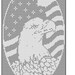 Item 2 Eagle Flag Oval Filet Crochet Pattern Curtain Wallhanging Afghan ...