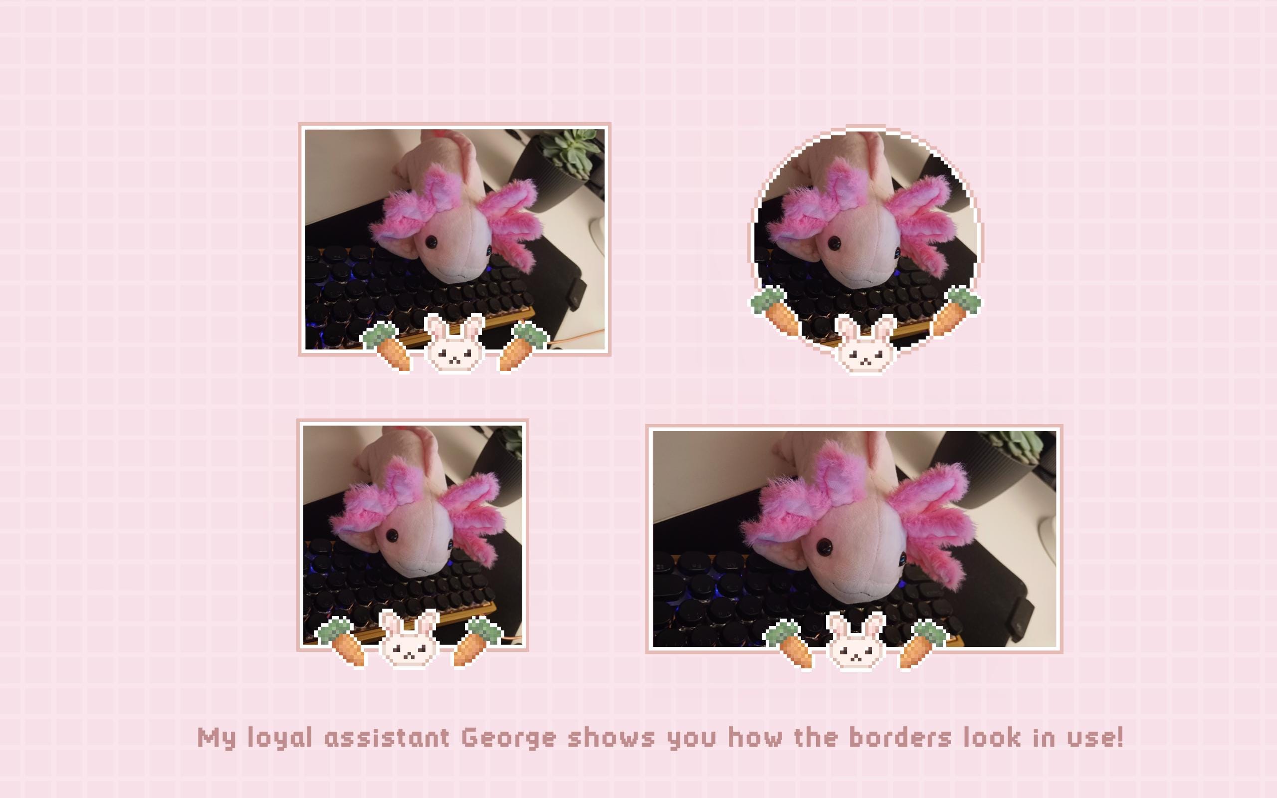Bunny Girl • Cam Border Overlay / Profile Frame • Streaming Decoration ...