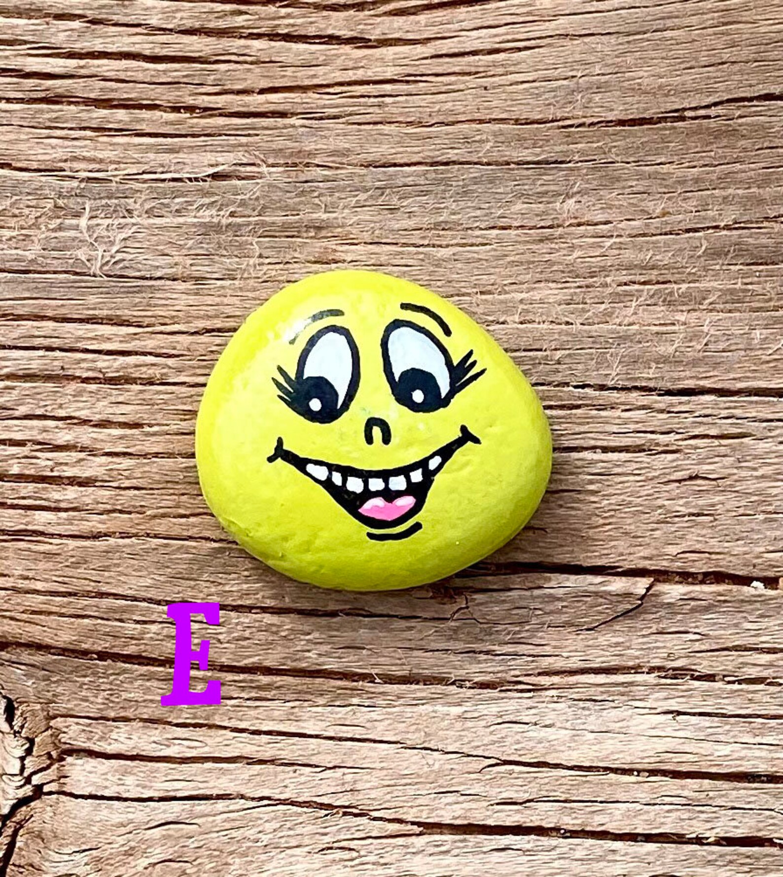 Handpainted Silly Face Art Rocks SMALL Funny Face Potted Plant - Etsy