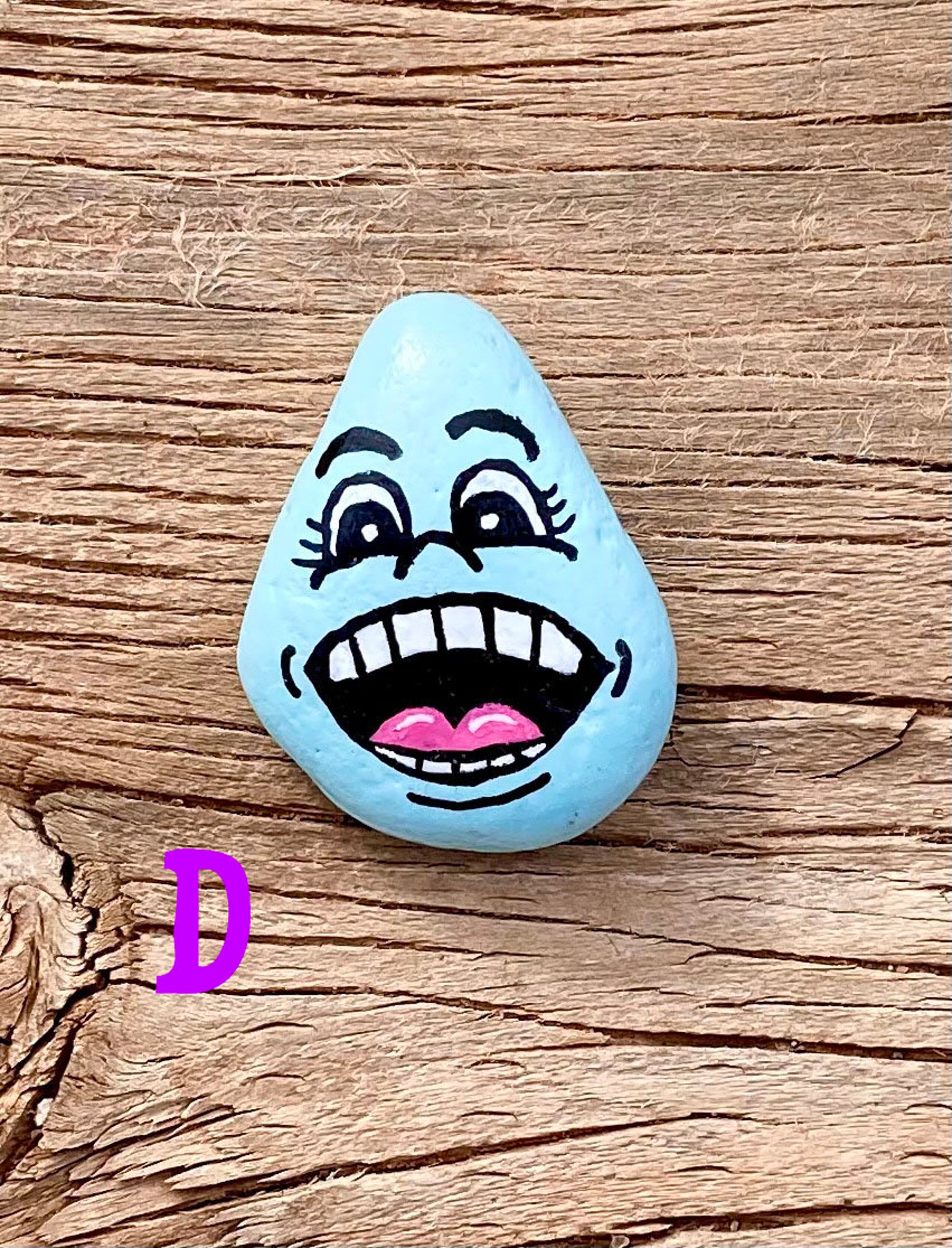 Handpainted Silly Face Art Rocks SMALL Funny Face Potted Plant - Etsy