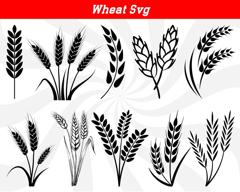 Wheat Svg, Grain Svg, Wheat Clipart, Wheat Silhouette, Wheat Vector ...