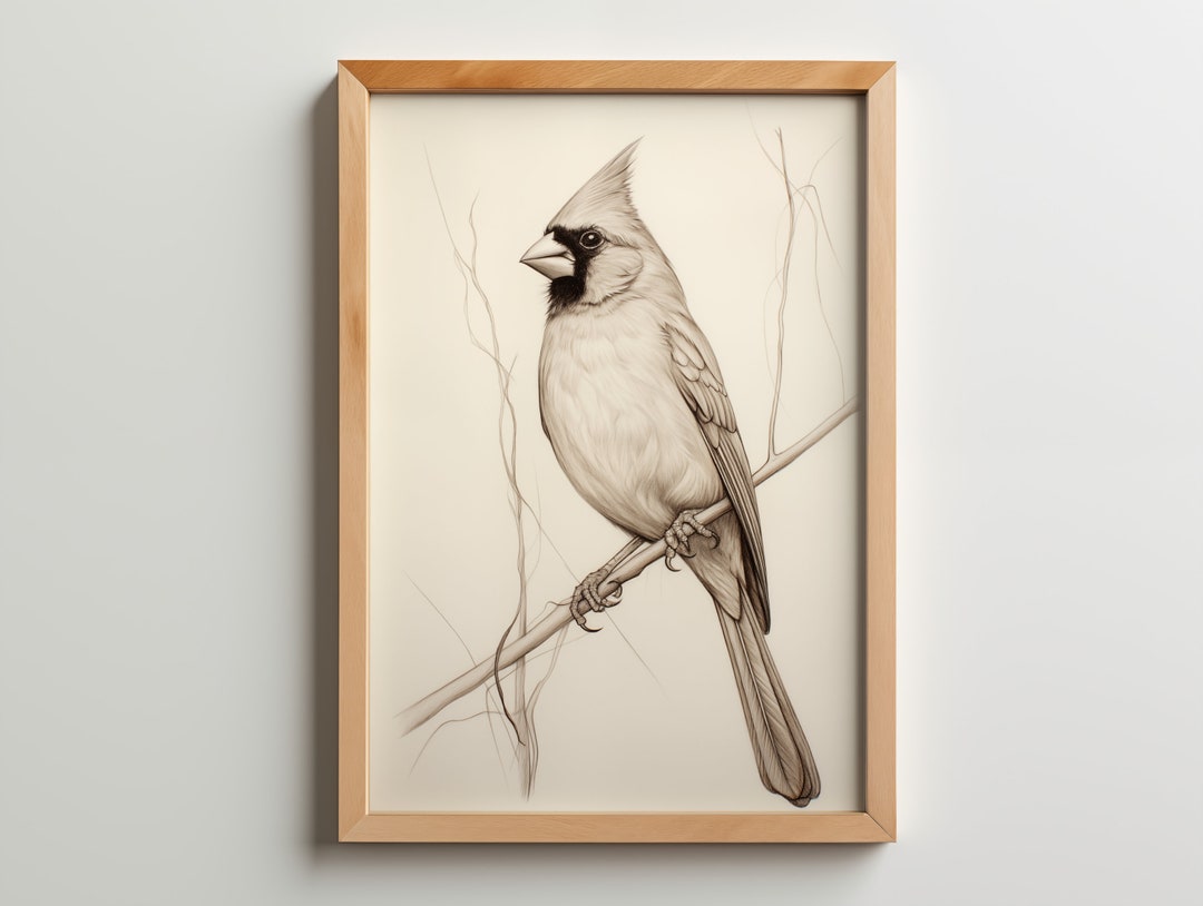 Vintage Cardinal Bird Pencil Sketch, Animal Art, Line Drawing, Rustic ...
