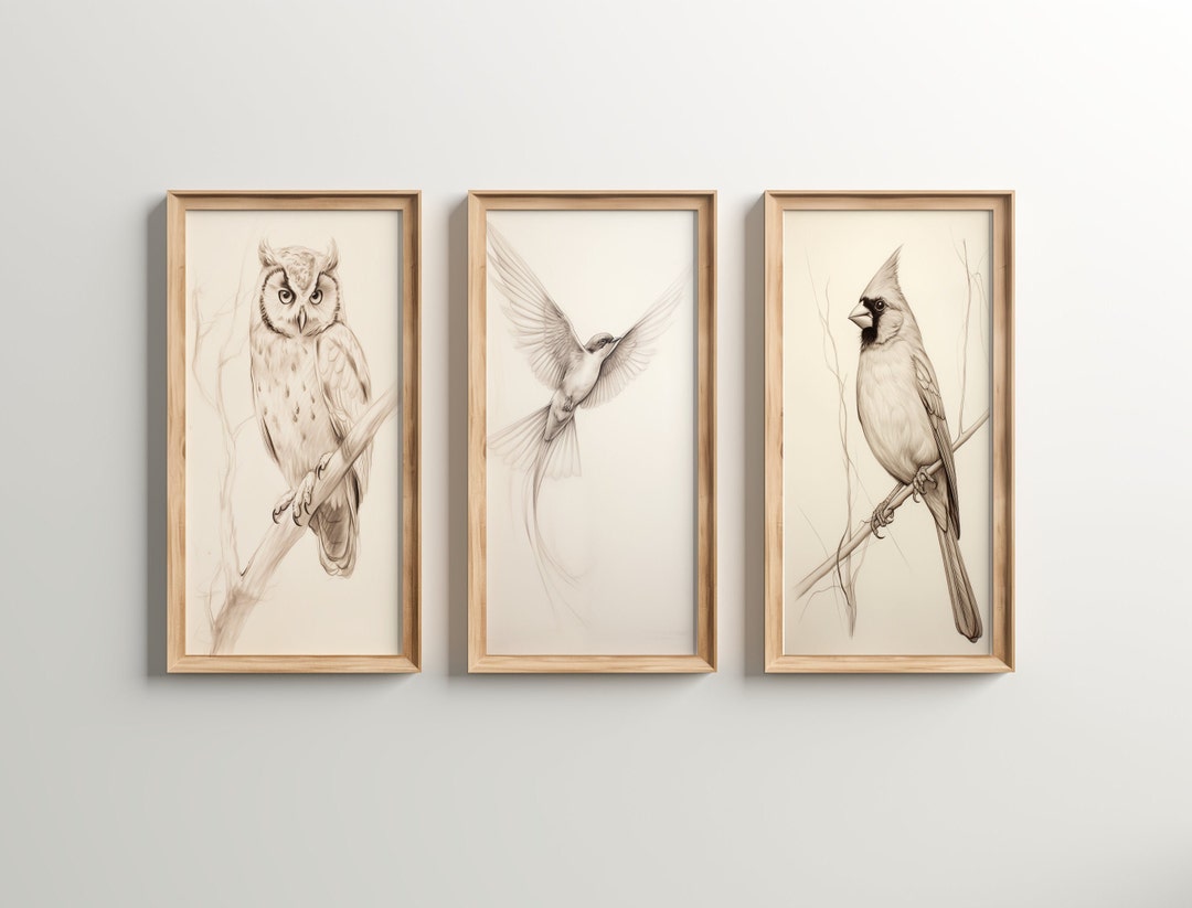 Bird Pencil Sketch Collection: Owl, Cardinal & Swallow, Vintage Style ...