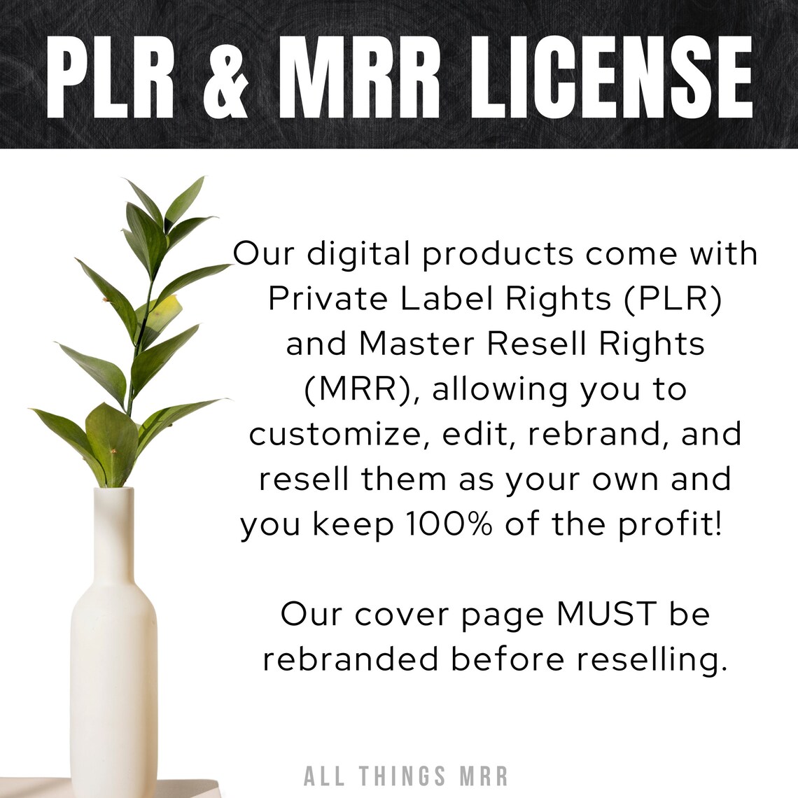 Digital Photos Resell Stock Images Faceless Digital Marketing MRR ...