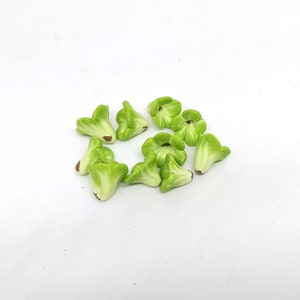 Pakalana Beads, Polymer Clay Flower Beads, Hawaiian Vine Flowers 10 ...