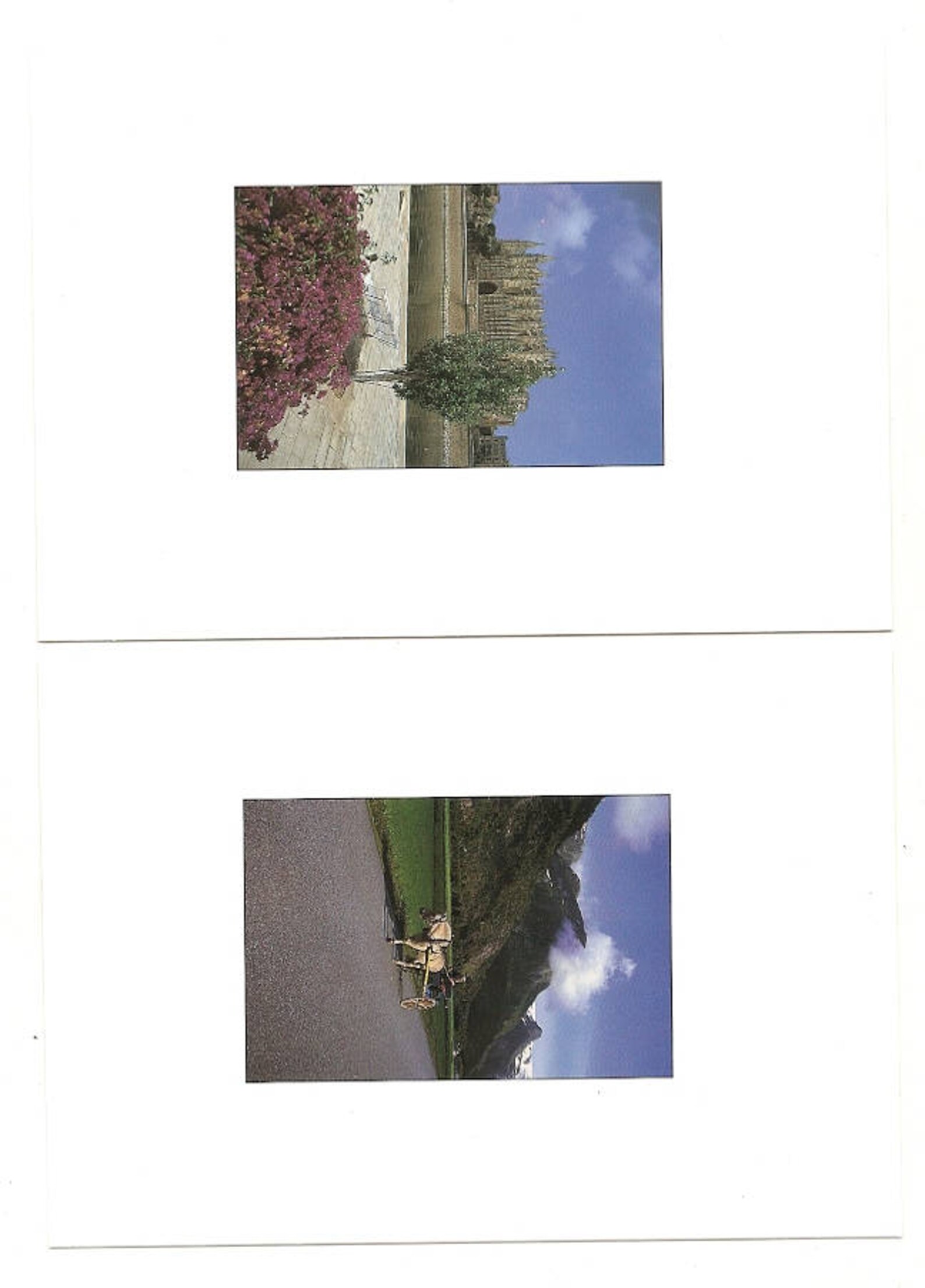 20 Different POSTCARDS Seven Seas Cruise Line Photography by | Etsy