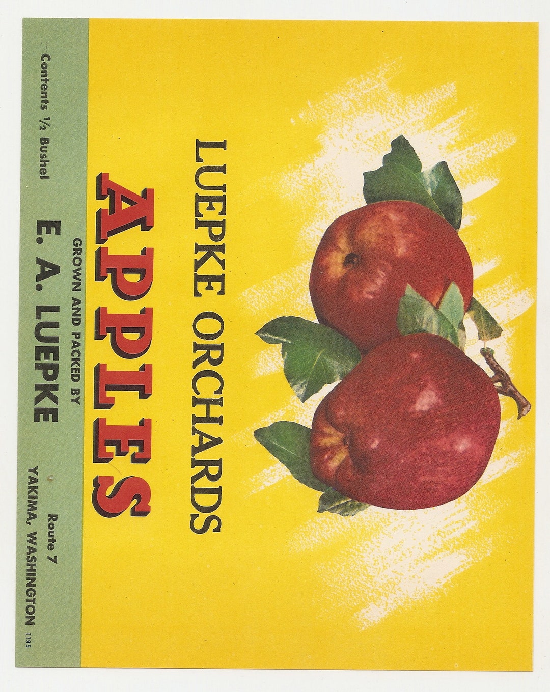 10 Old Vintage APPLES CRATE LABELS Washington , Mass., Canada Etc ...