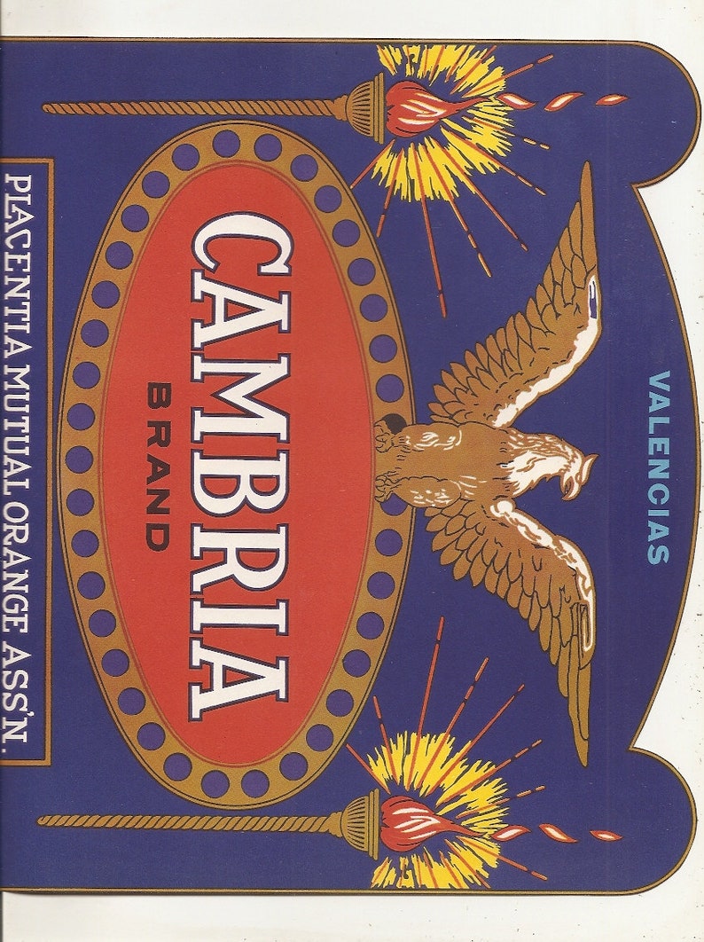 10 Different Old FLORIDA / CALIFORNIA CITRUS Crate Labels - Etsy