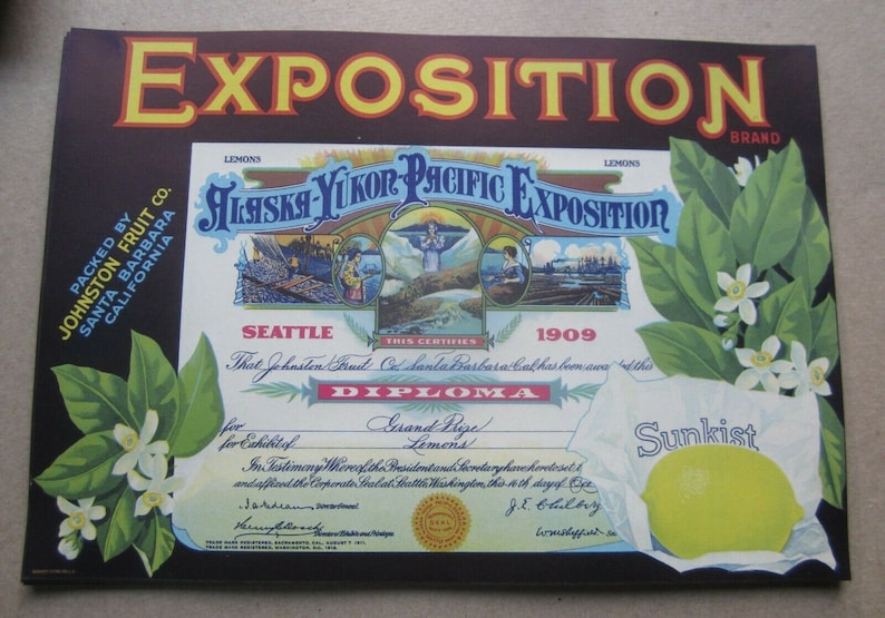 10 Old Vintage Lemons Orange CITRUS Fruit CRATE LABELS - Etsy