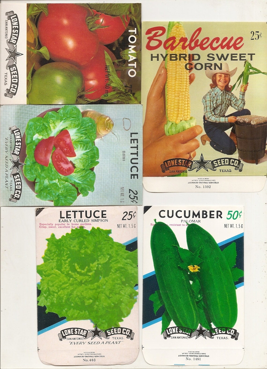61 Old Vintage Vegetables Seed Packets Lone Star Seed Co. San | Etsy