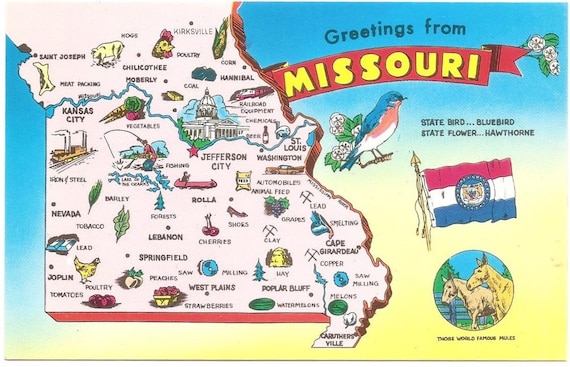 25 Unused Vintage Greetings From MISSOURI POSTCARDS - Etsy