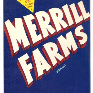 10 Different Old Vegetable Crate Labels CHEERIO , CITATION, MERRILL ...