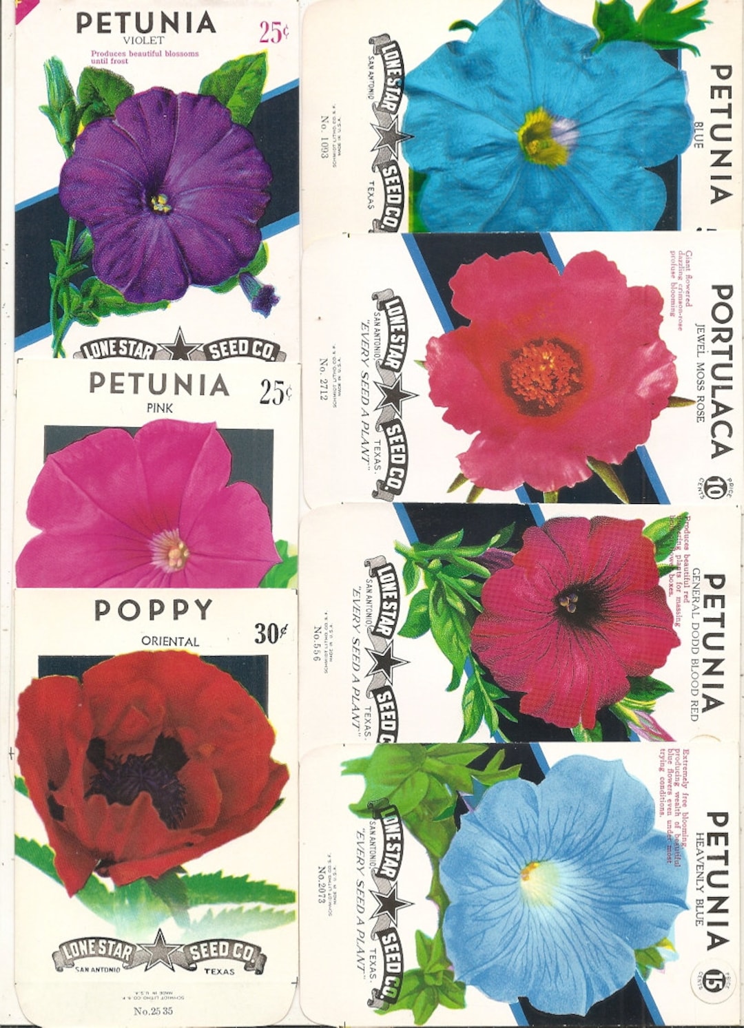 63 Old Vintage Flower Seed Packets Lone Star Seed Co. San Antonio,texas ...