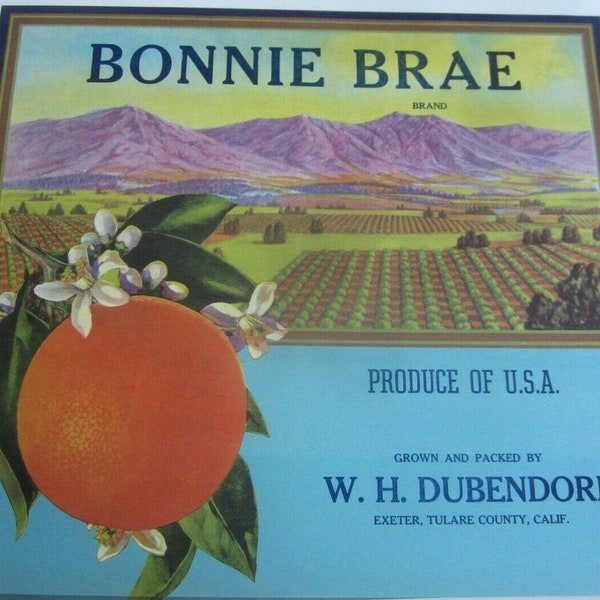 Orange Crate Labels - Etsy