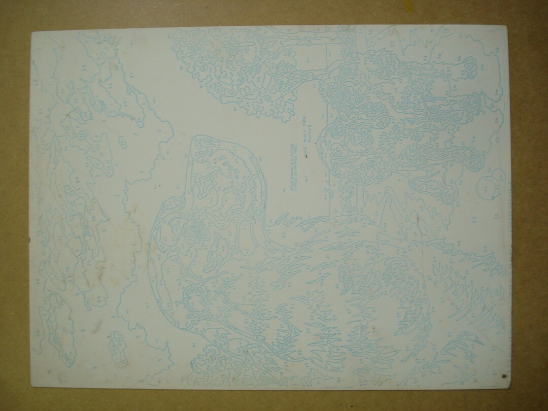 Old Vintage Paint by Numbers Panel COCKER SPANIELS - Etsy