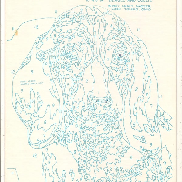 Beagle Paint by Numbers - Etsy