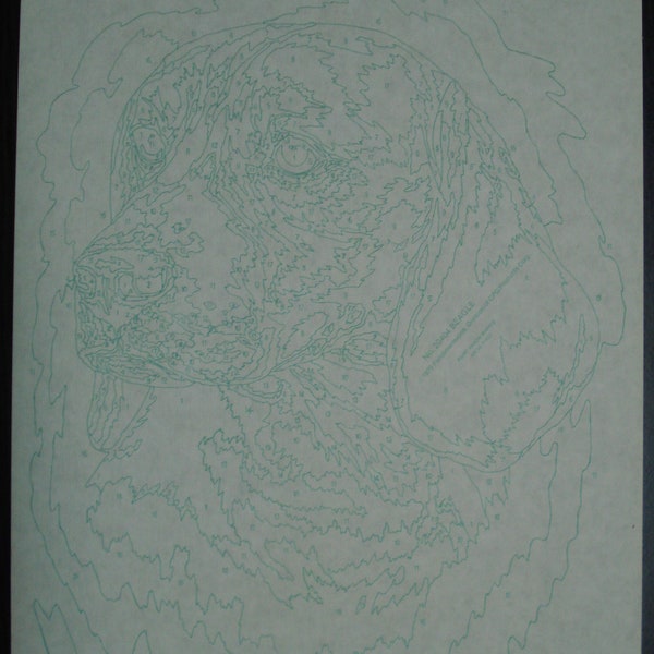 Beagle Paint by Numbers - Etsy
