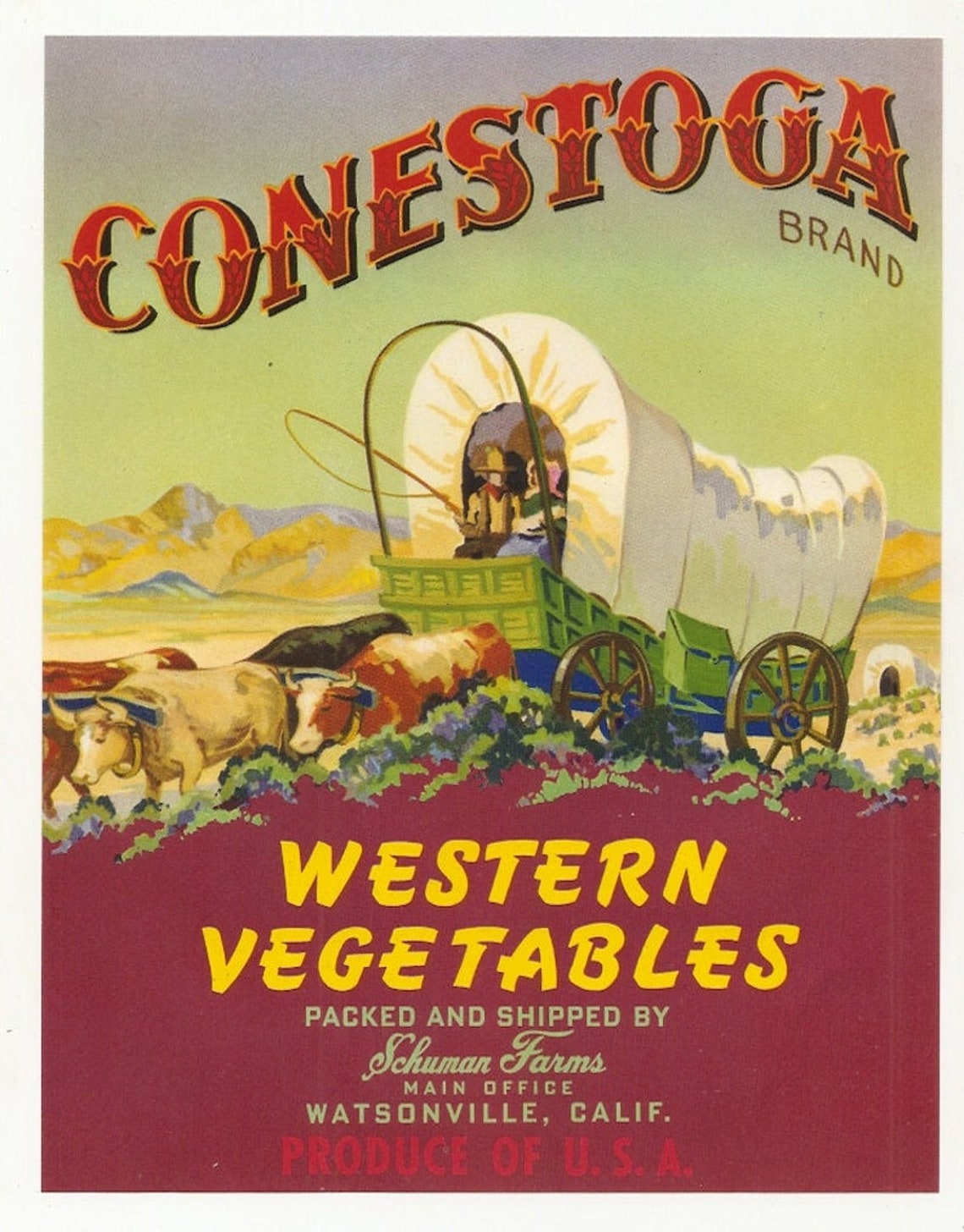 10 Different Old Vegetable Crate Labels CASTROVILLE'S | Etsy