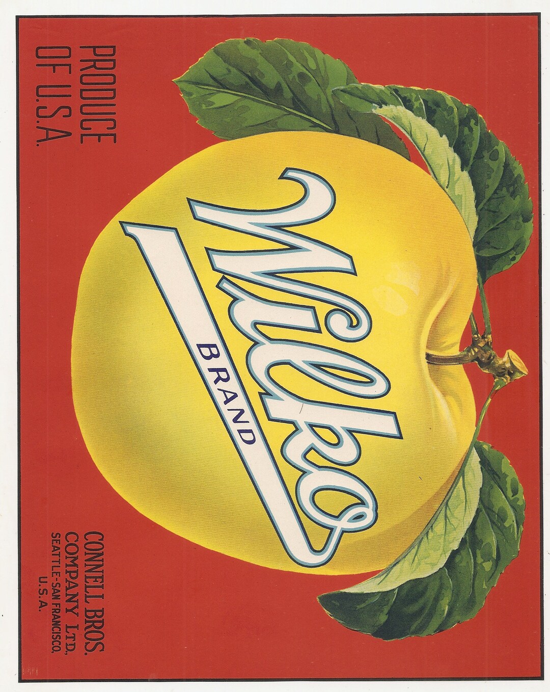 10 Old Vintage APPLES Fruit CRATE LABELS Washington Etc...... - Etsy