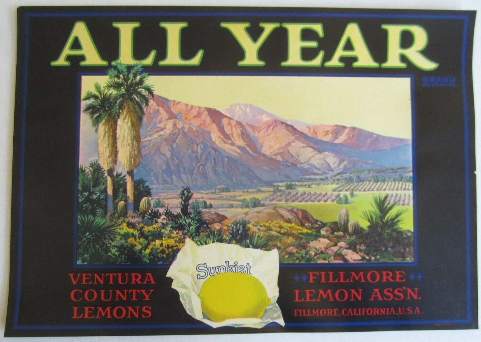 18 Old Vintage Lemon / ORANGE / CITRUS Crate Labels - Etsy