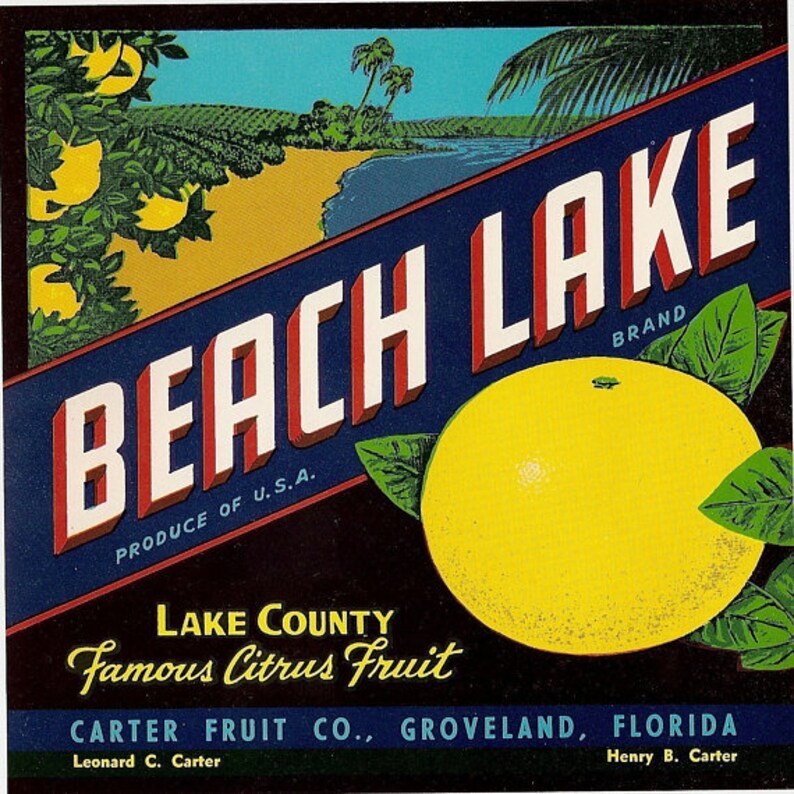 10 Different Old FLORIDA / CALIFORNIA CITRUS Crate Labels - Etsy