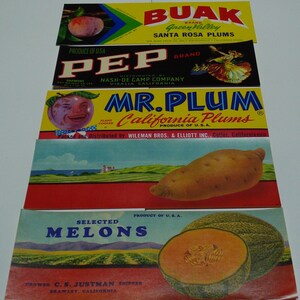 49 1940's Plus Old Vintage Fruits and Vegetables Crate Labels - Etsy