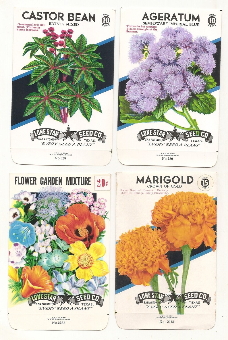 30 Old Vintage Flower Seed Packets Flower Garden Mixture ,CHRYSANTHEMUM ...