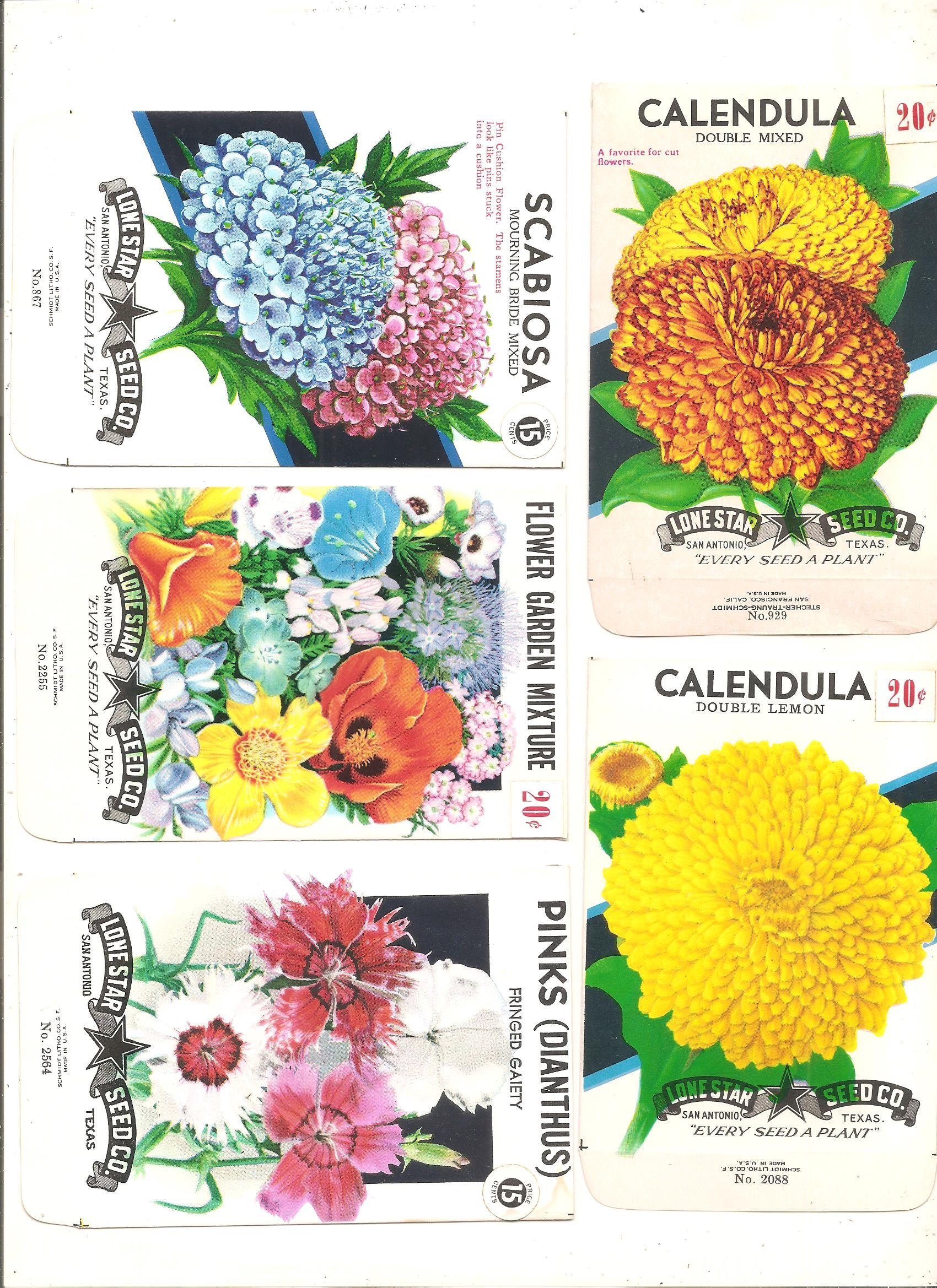 57 Old 1940's-50's Etc...- Flower Seed Packets - CALENDULA , Sunflower ...