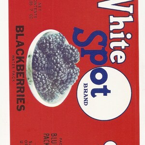 10 Different Old Large Vintage Fruit & VEGETABLE Can Labels the ...