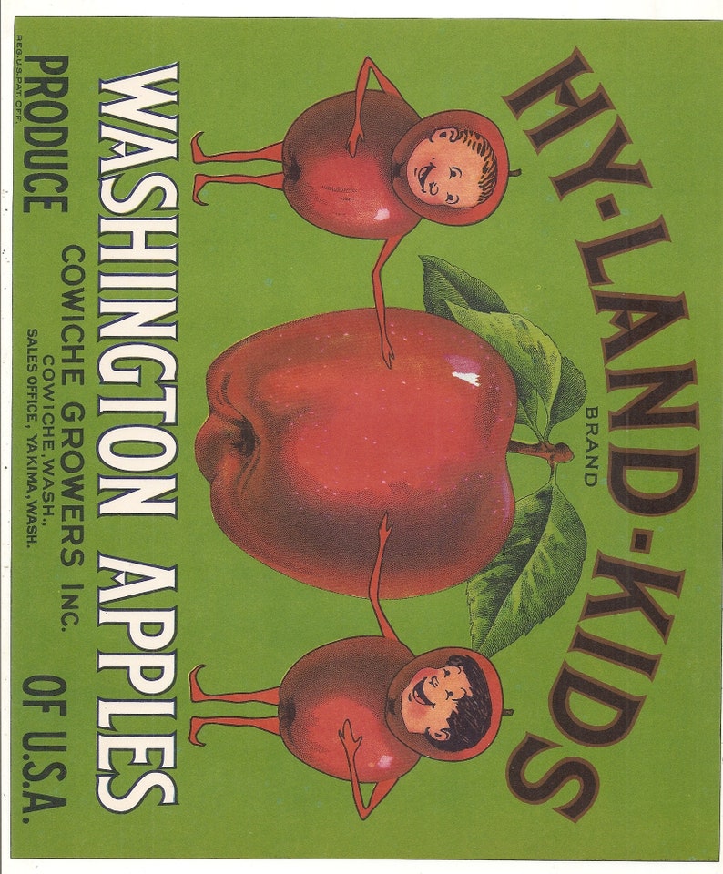 10 Old Different Vintage Apple CRATE LABELS | Etsy