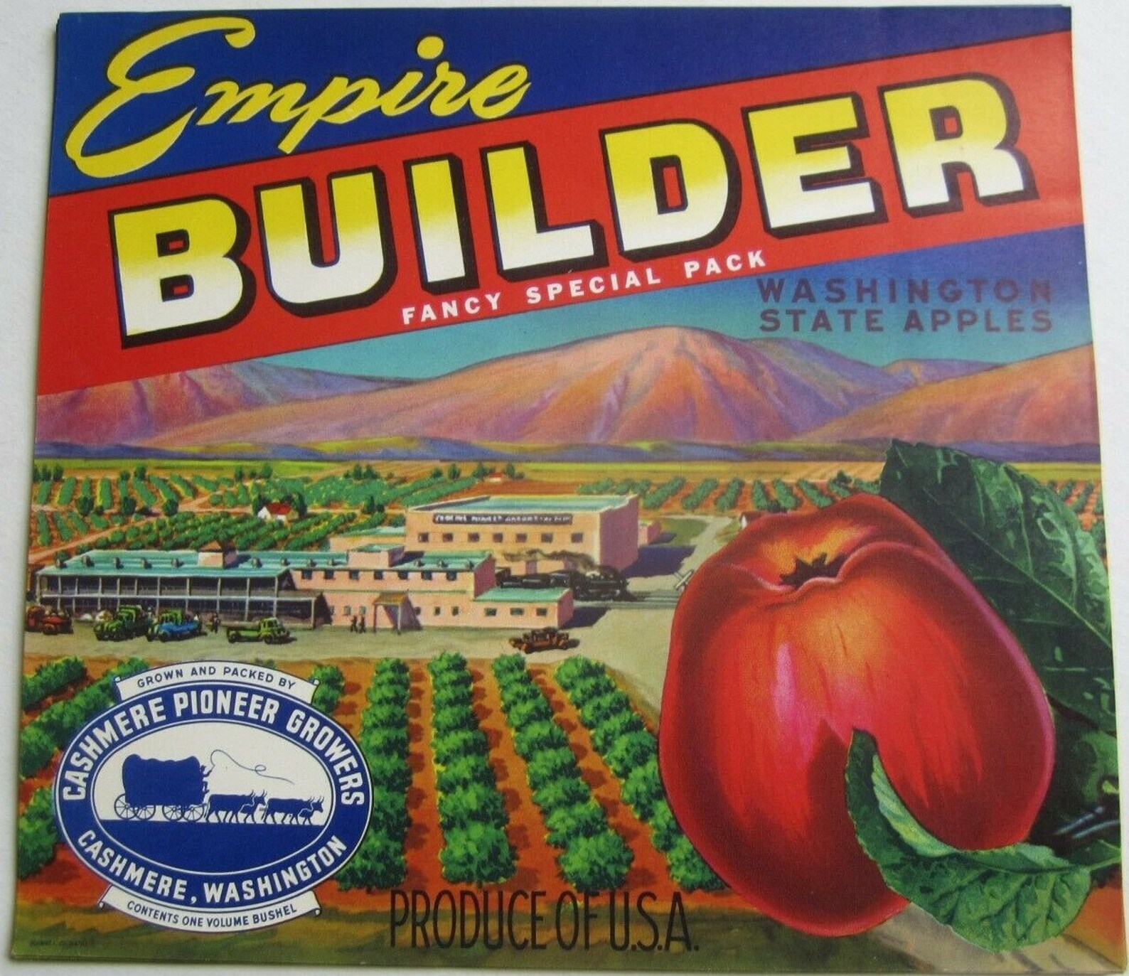 10 Old Vintage APPLES Fruit CRATE LABELS Washington Etc...... | Etsy