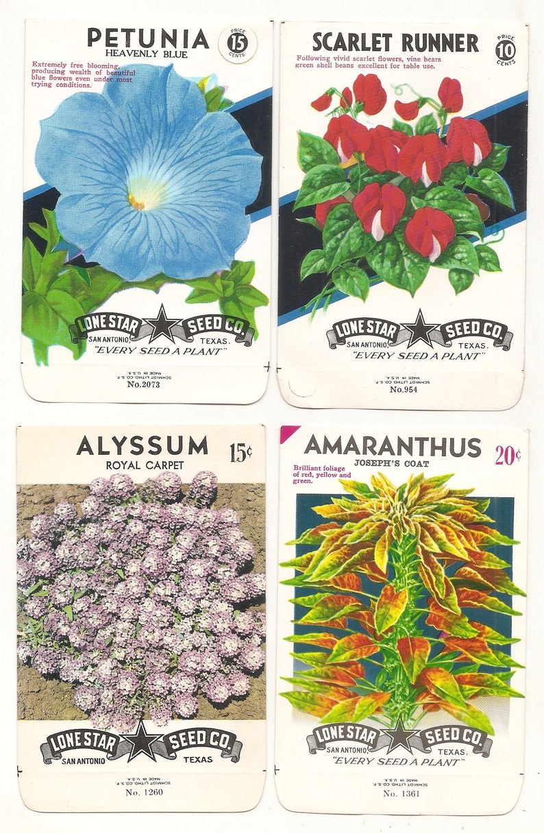 30 Old Vintage Flower Seed Packets Flower Garden Mixture ,CHRYSANTHEMUM ...