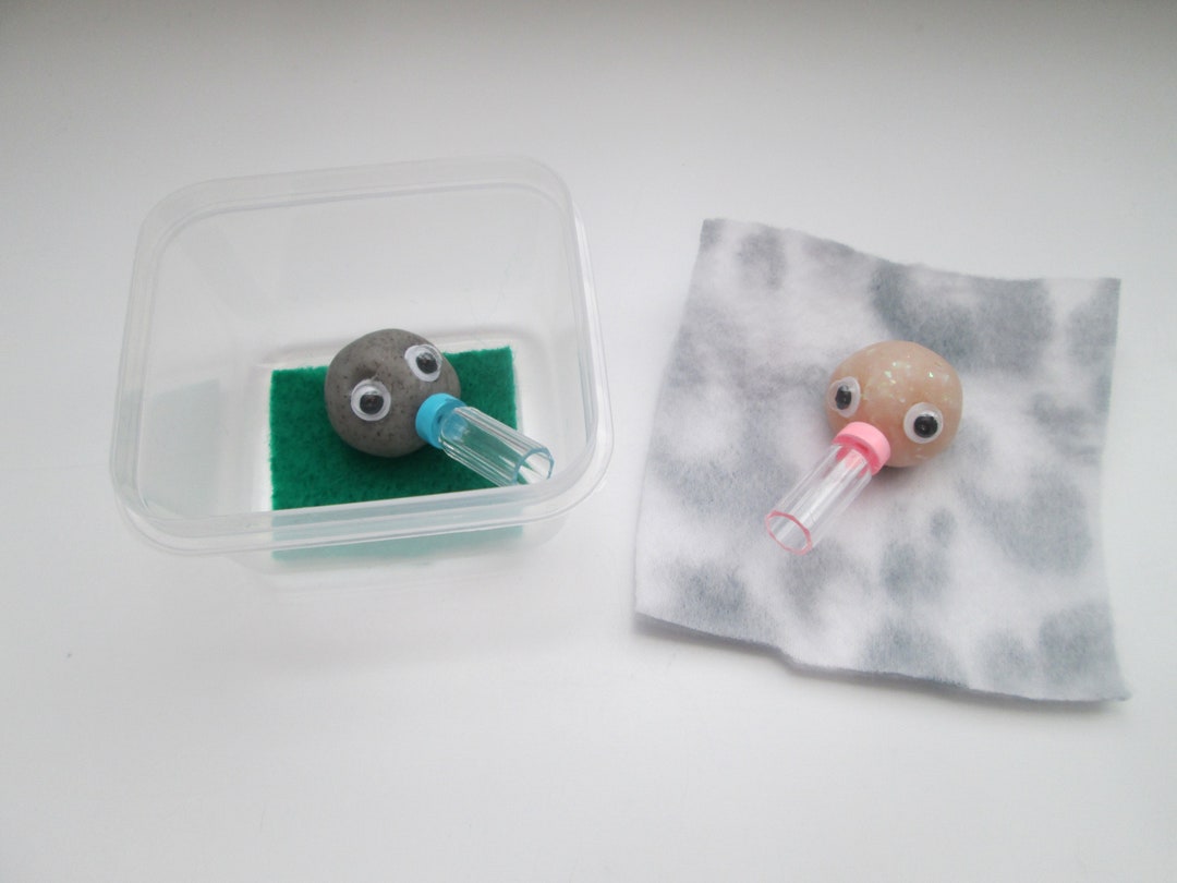 Polymer Clay Baby Pet Rock Desk Pets With Wiggle Eyes - Etsy