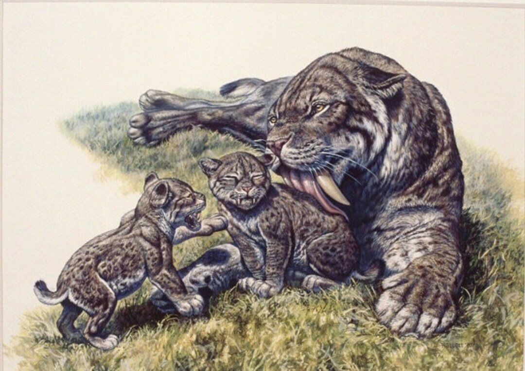 Mother Sabercat and Cubs Print a Time for Love. Copyright Mark Hallett ...