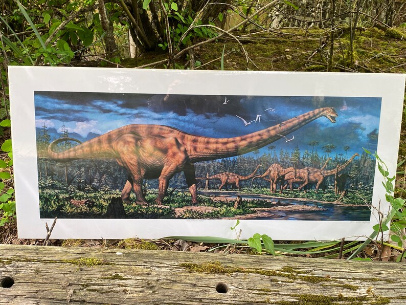 Diplodocus Print From Original Art Work. Copyright Mark Hallett/mark ...