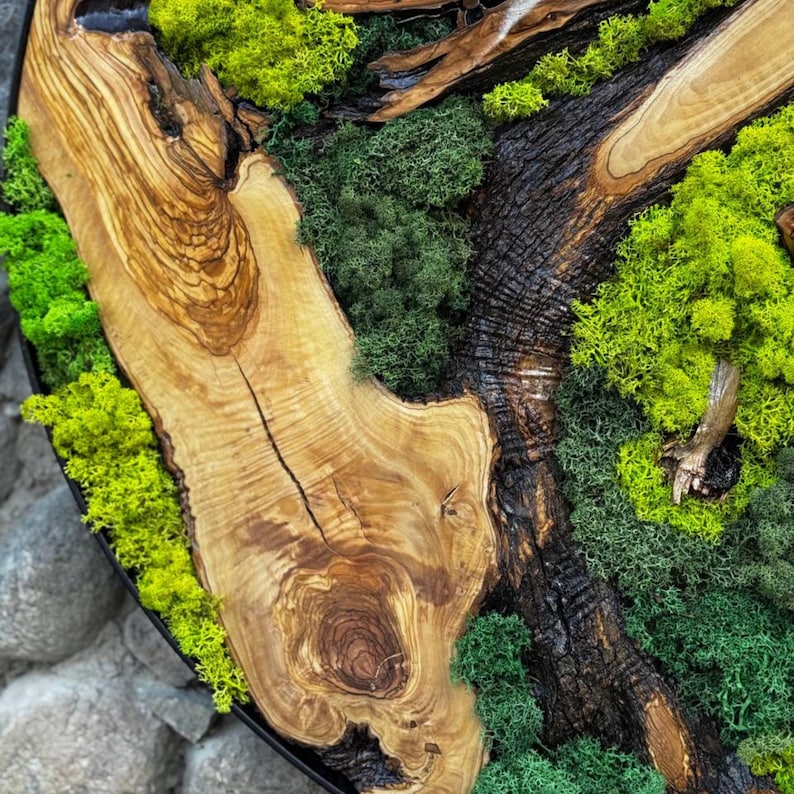 Metal Frame Moss Wall Decor, Custom Made Moss Wood Wall Art, Olive Wood ...