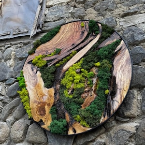 Metal Frame Moss Wall Decor, Custom Made Moss Wood Wall Art, Olive Wood ...