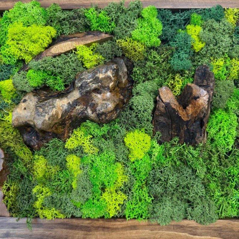 Moss Wall Decor With Wooden Frame, Olive Wood and Moss Wall Art, Custom ...