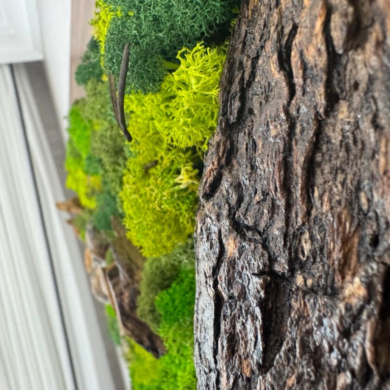 Moss Wall Decor With Wooden Frame, Olive Wood and Moss Wall Art, Custom ...