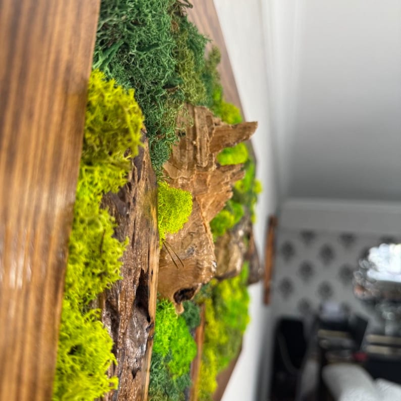 Moss Wall Decor With Wooden Frame, Olive Wood and Moss Wall Art, Custom ...