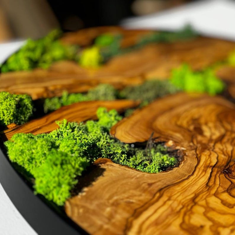 Custom Made Moss Wood Wall Art, Olive Wood and Moss Wall Art, Preserved ...