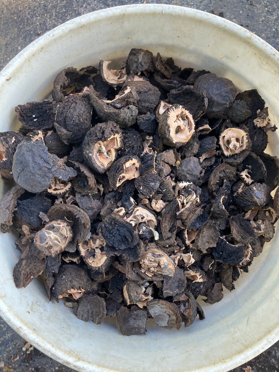 Cut Walnut Shells Quart Size - Etsy