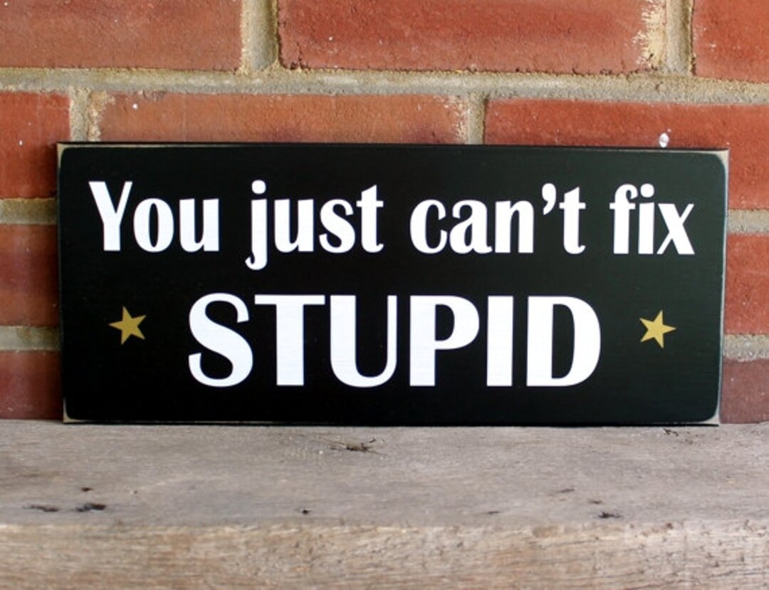 You Just Can't Fix Stupid Wood Sign Wall Decor, Funny Saying Signs With ...