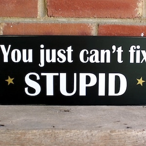 You Just Can't Fix Stupid Wood Sign Wall Decor, Funny Saying Signs With ...