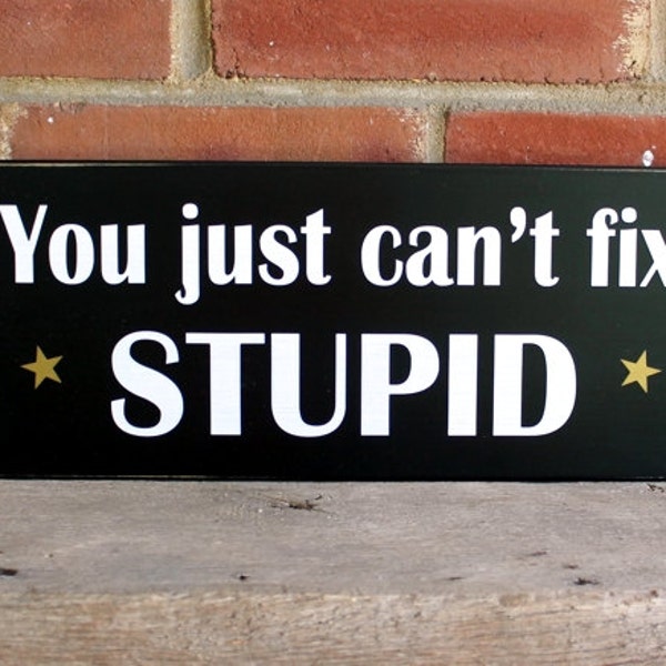 Fix Stupid - Etsy