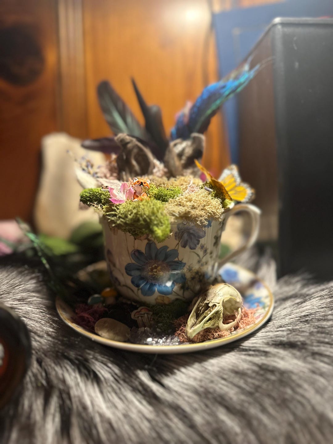 Taxidermy Rabbit Ear Tea Cup *REAL Rabbit Ear* Gothic Style - Etsy