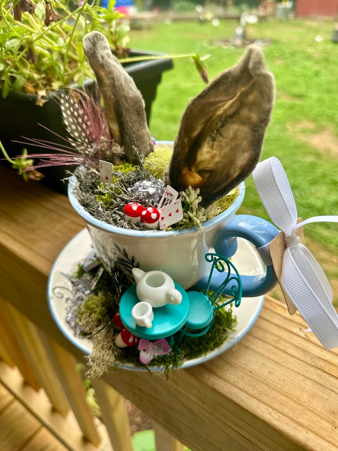 Taxidermy Rabbit Ear Tea Cup REAL Rabbit Ear - Etsy
